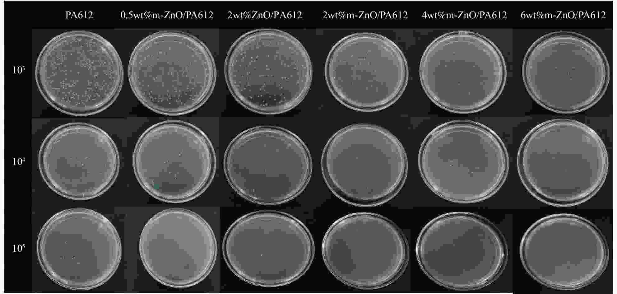 纳米ZnO/生物基尼龙612纳米复合抗菌薄膜的制备与性能