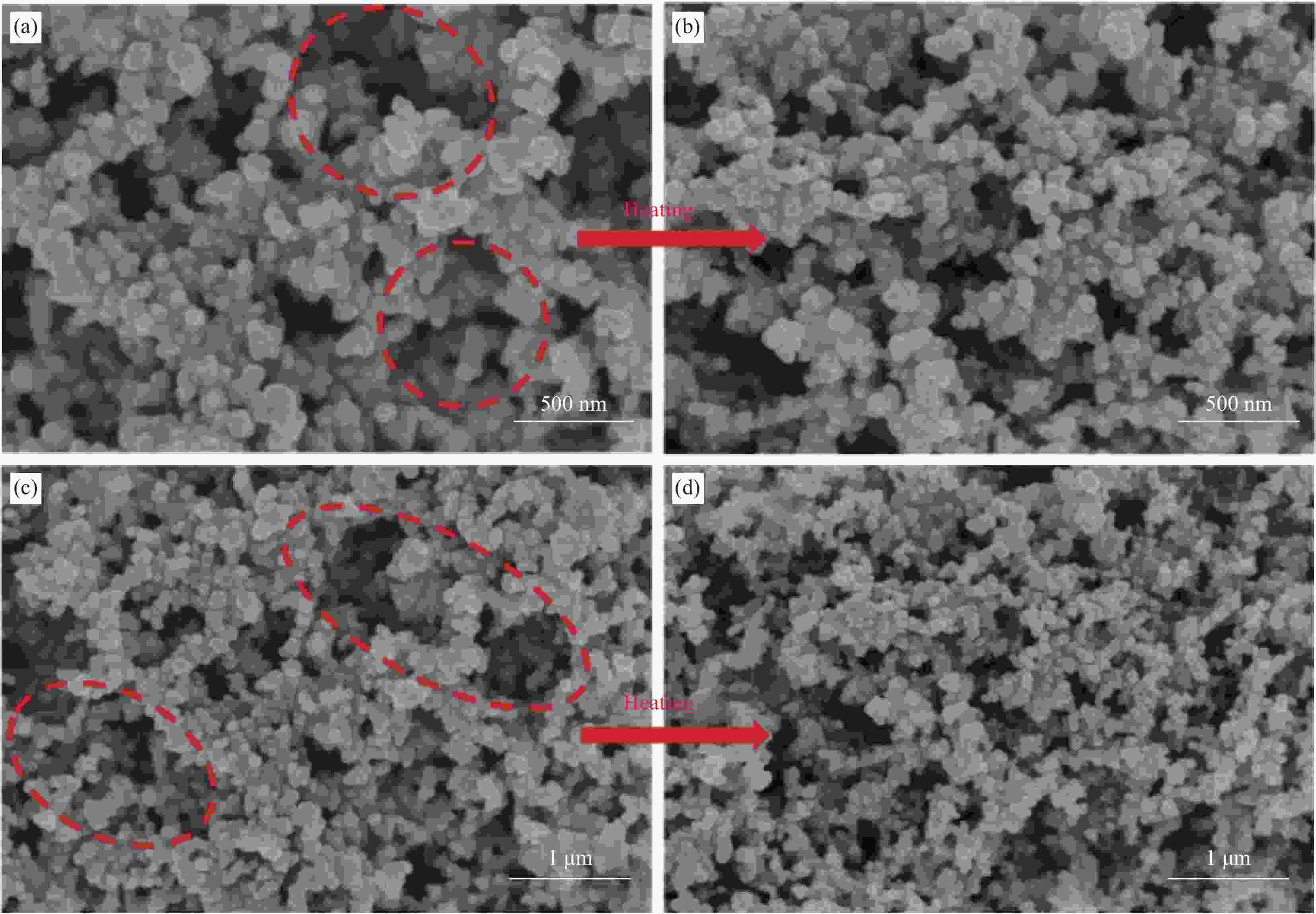 一步法制备自相似结构超疏水涂层及混凝土表面应用性能