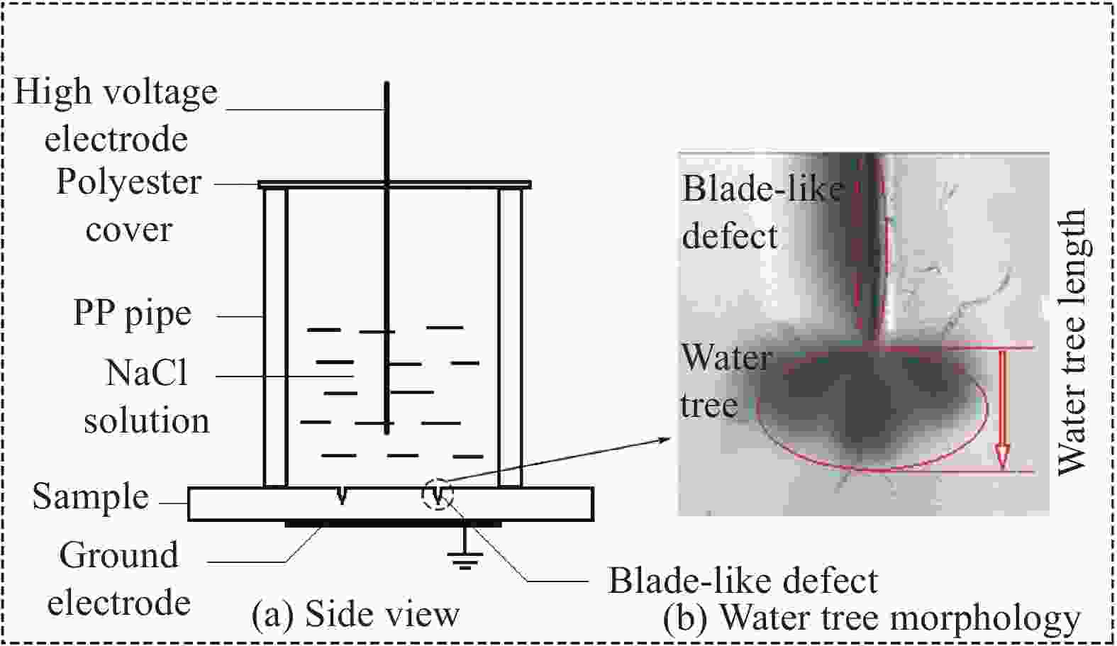抗氧剂对MPE-XLPE共混物水树枝特性的影响