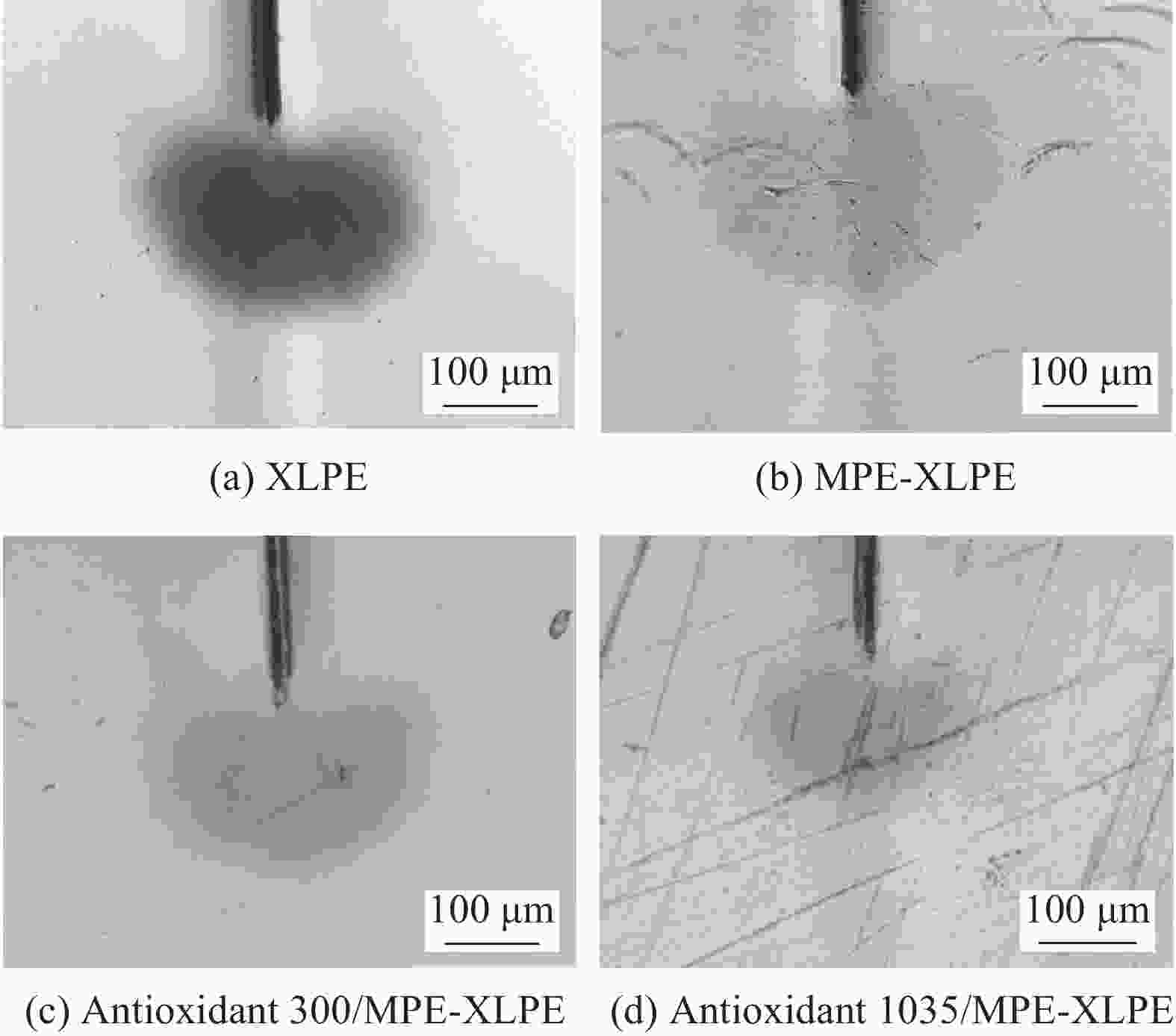 抗氧剂对MPE-XLPE共混物水树枝特性的影响