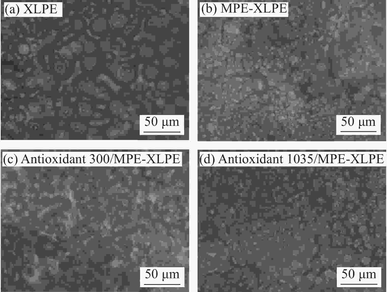 抗氧剂对MPE-XLPE共混物水树枝特性的影响