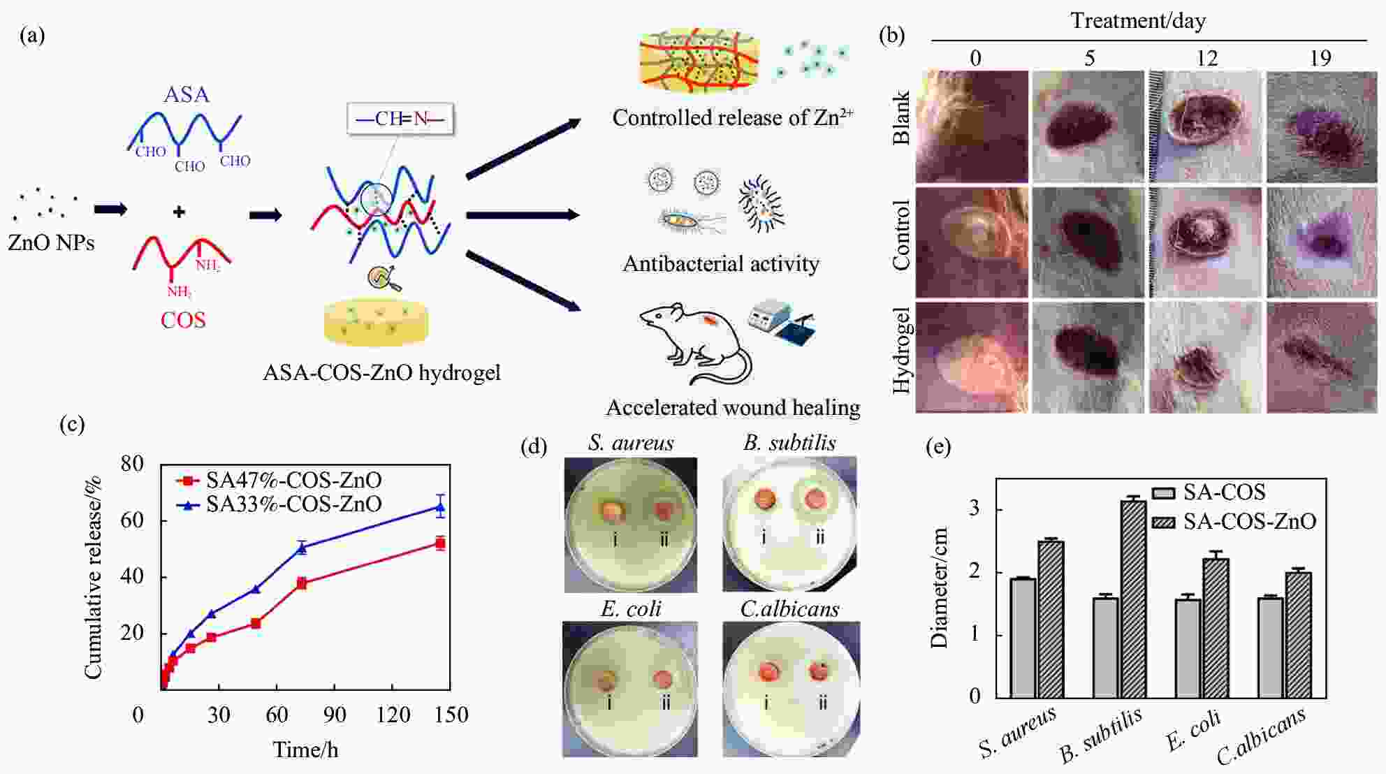 生物基抗菌水凝胶研究进展